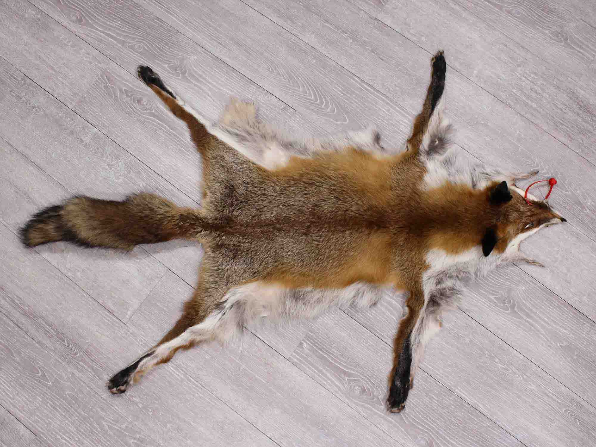 Red Fox Fur