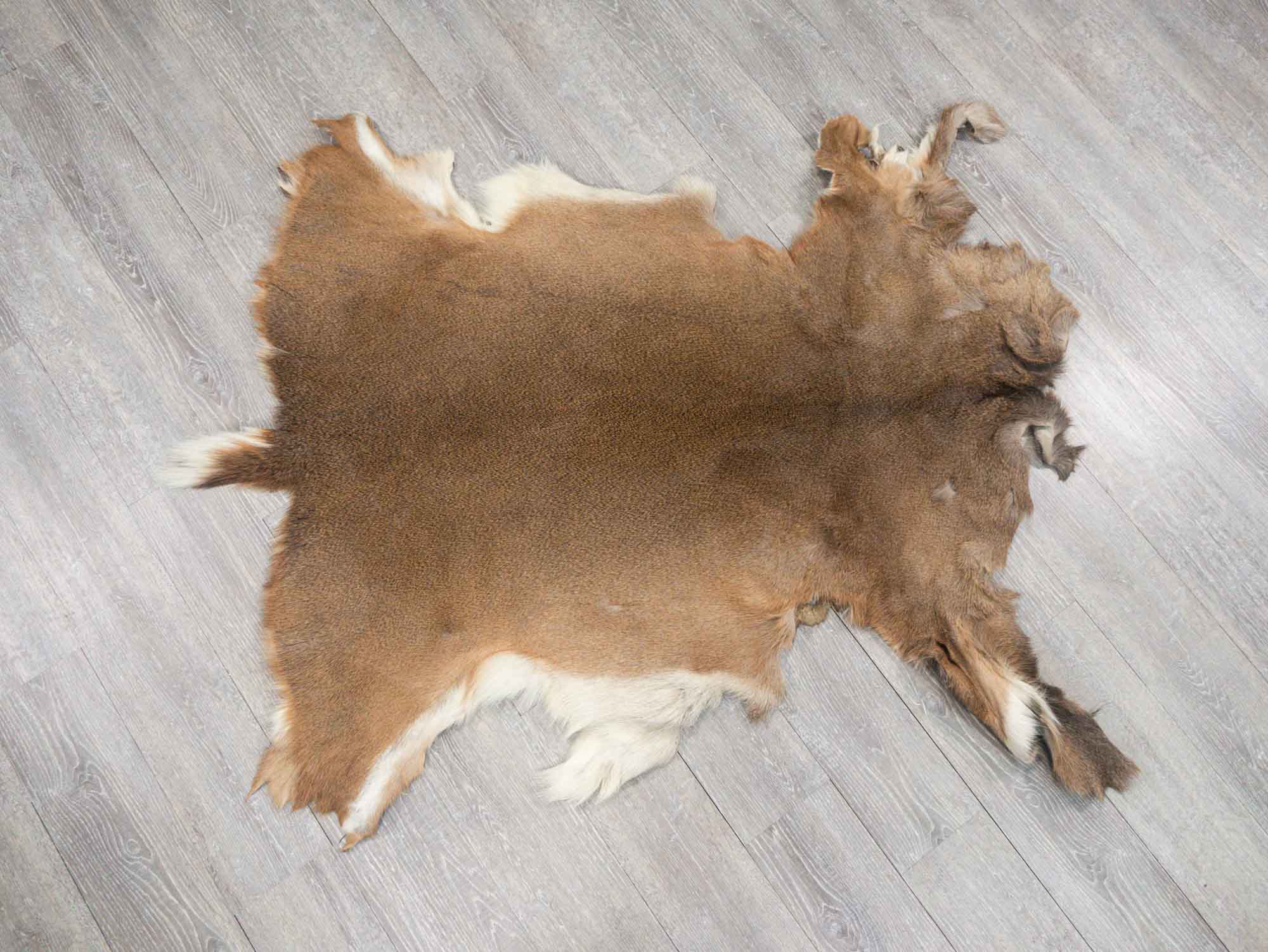 Deer Hide